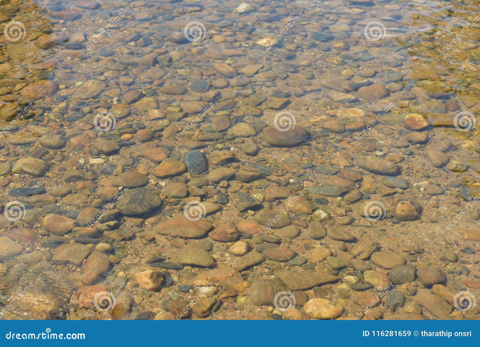 Rocks in clear water stock image. Image of clear, liquid - 116281659