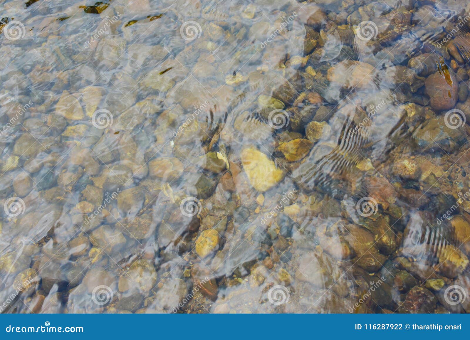 Rocks in Clear Water Stream Stock Photo - Image of cell, green: 116287922