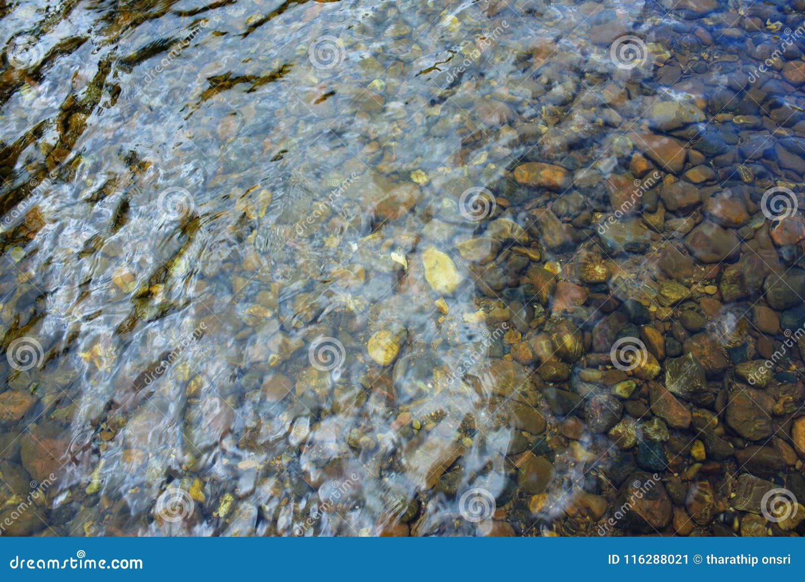 Rocks in Clear Water Stream Stock Image - Image of high, clear: 116288021