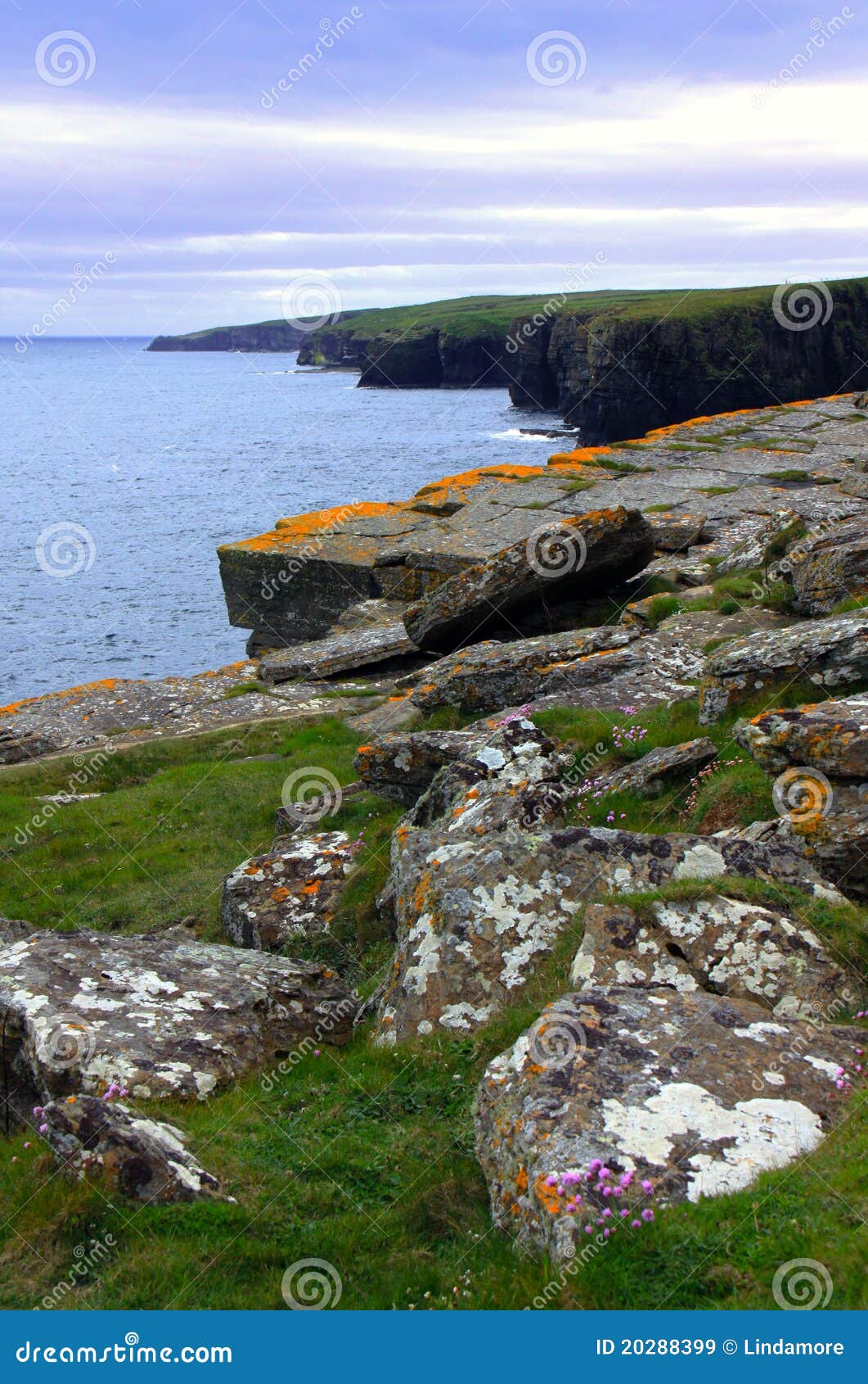 Rocks and Cliffs, Caithness, North Scotland Stock Image - Image of ...