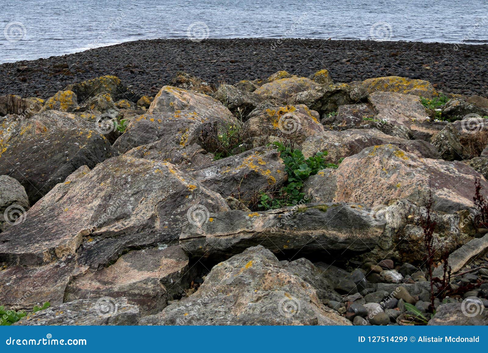 Rocks on a Coastal Shingle Beach Stock Image - Image of geological ...