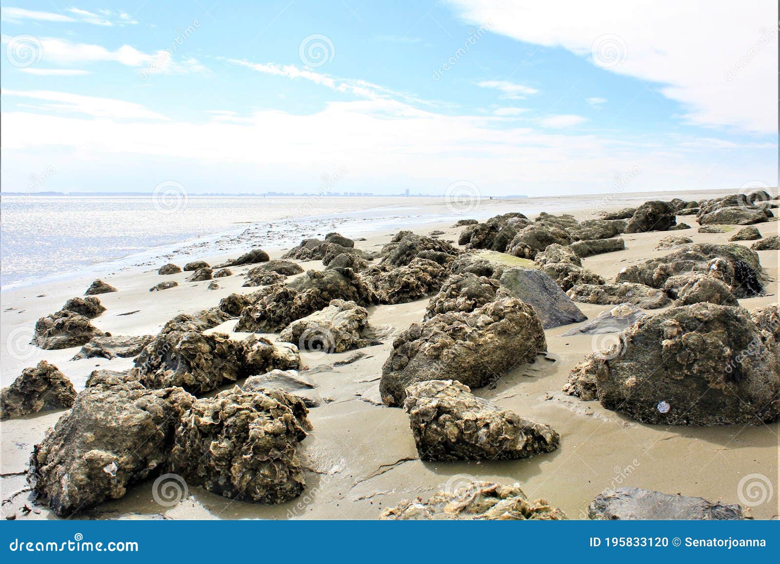 A Coastline in Zeeland, in the Netherlands Stock Photo - Image of ...