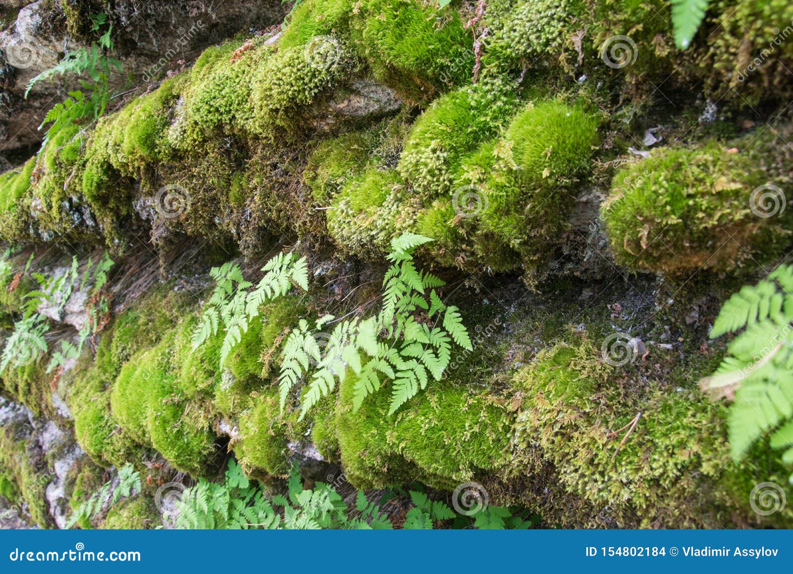 Rocks Composed of Layers. Stones Covered with Moss Stock Photo - Image ...