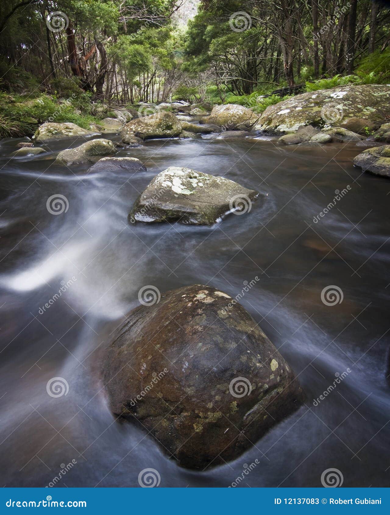 Rocks in Countryside Stream Stock Image - Image of river, closeup: 12137083