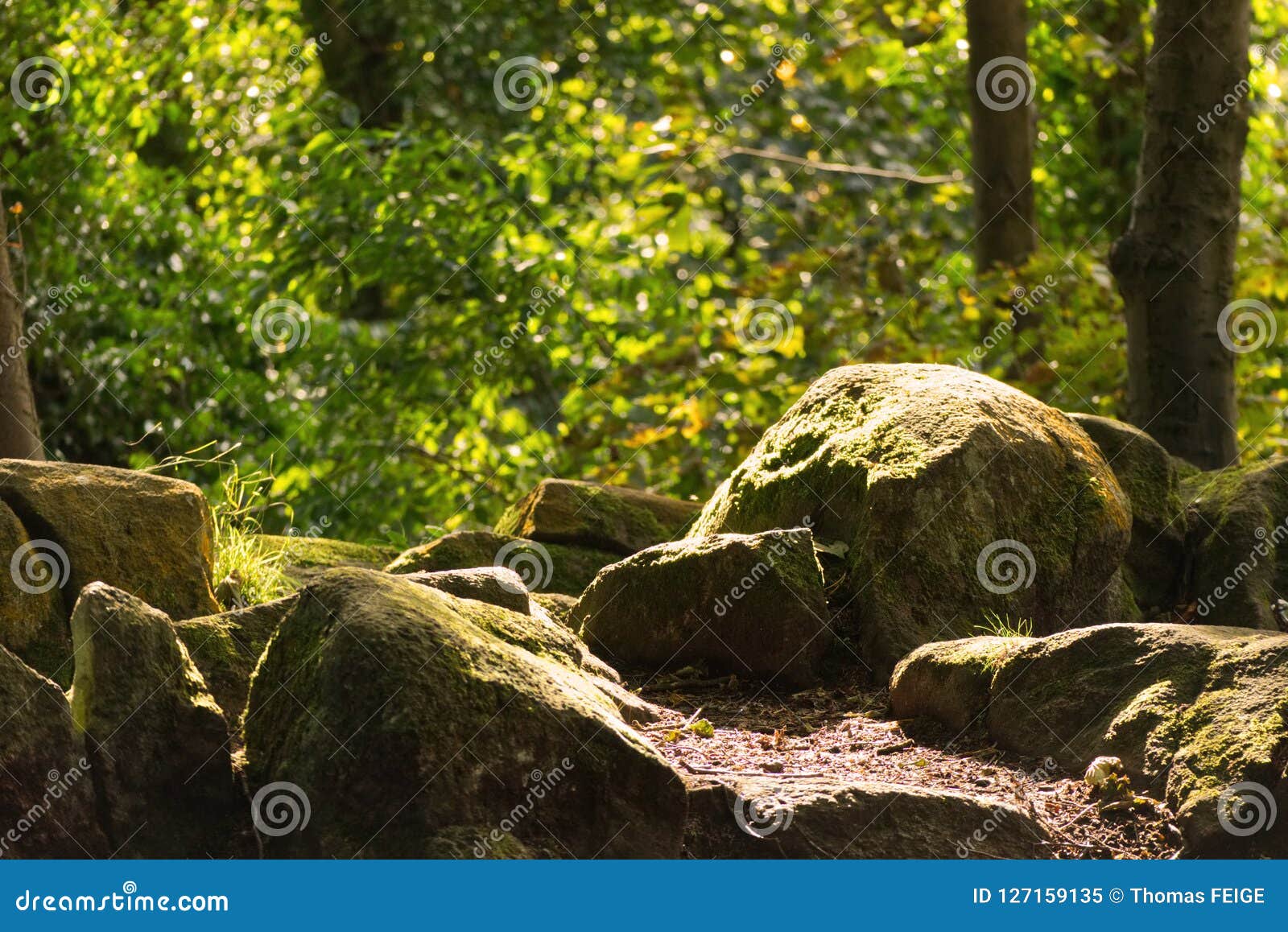 Rocks Covered in Moss Shining in the Sun Stock Image - Image of ground ...