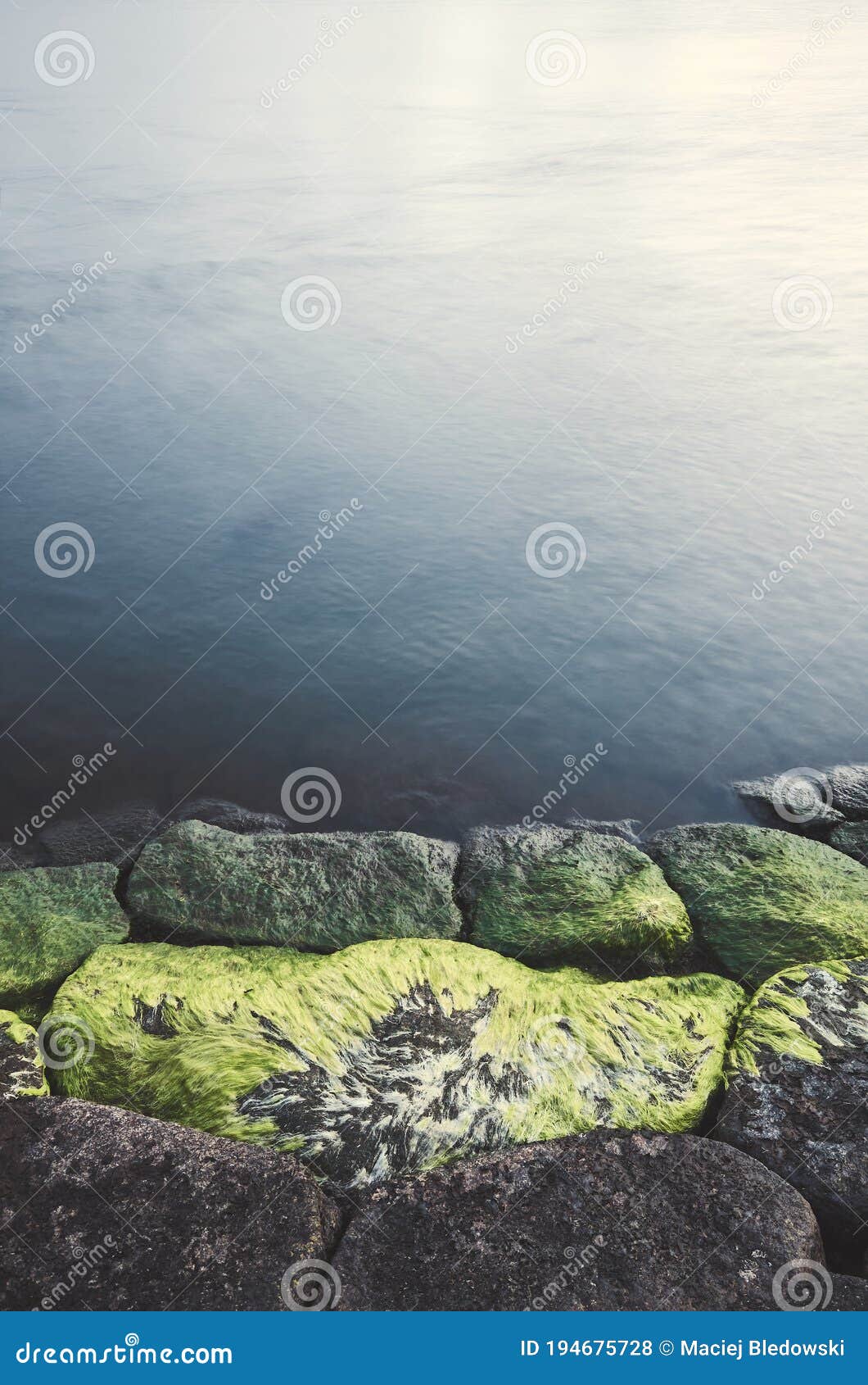 Rocks Covered with Green Algae in Water Stock Photo - Image of nature ...
