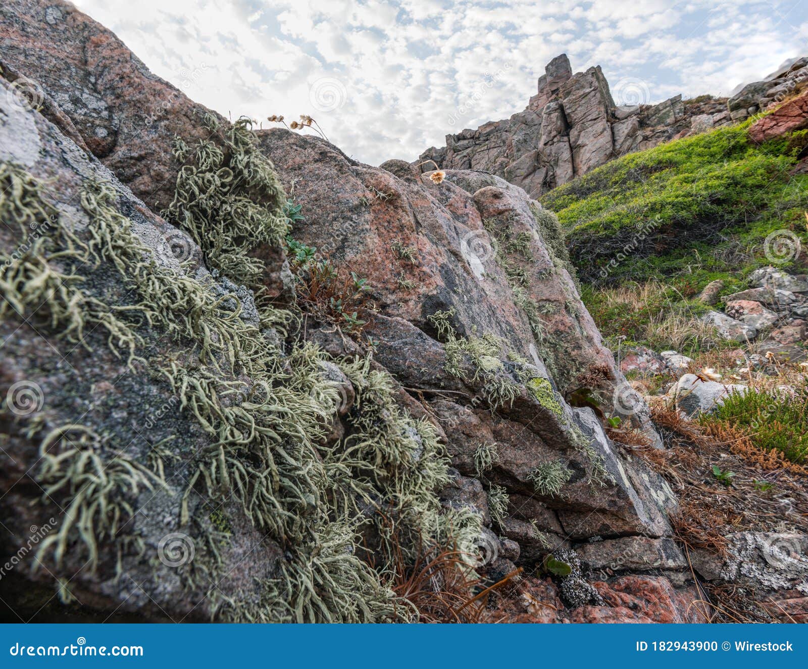 Rocks Covered in Greenery Under a Cloudy Sky at Daytime - Perfect for ...