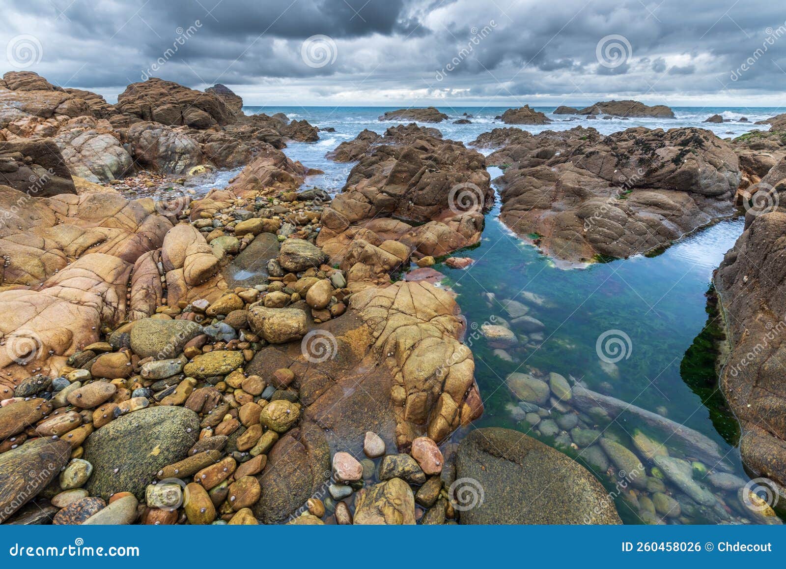 Rocks Covered with Shells on the Atlantic Coast Stock Photo - Image of ...