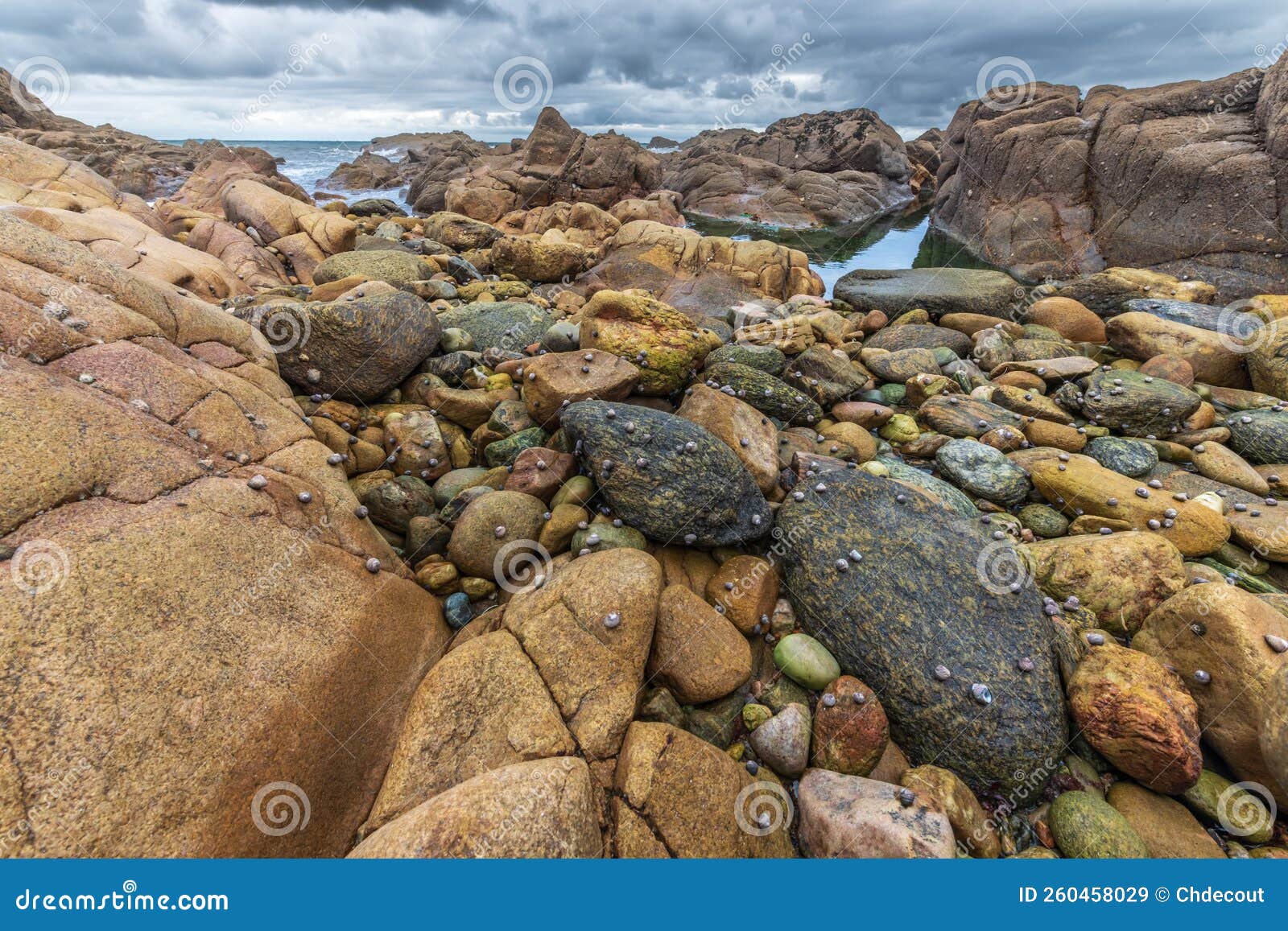 Rocks Covered with Shells on the Atlantic Coast Stock Image - Image of ...