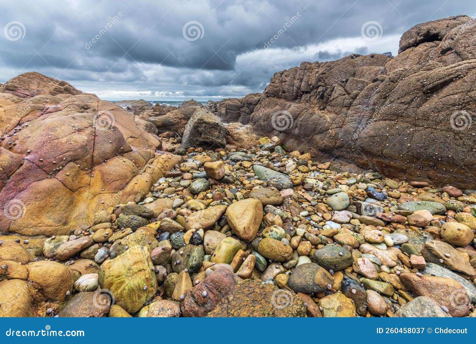 Rocks Covered with Shells on the Atlantic Coast Stock Image - Image of ...
