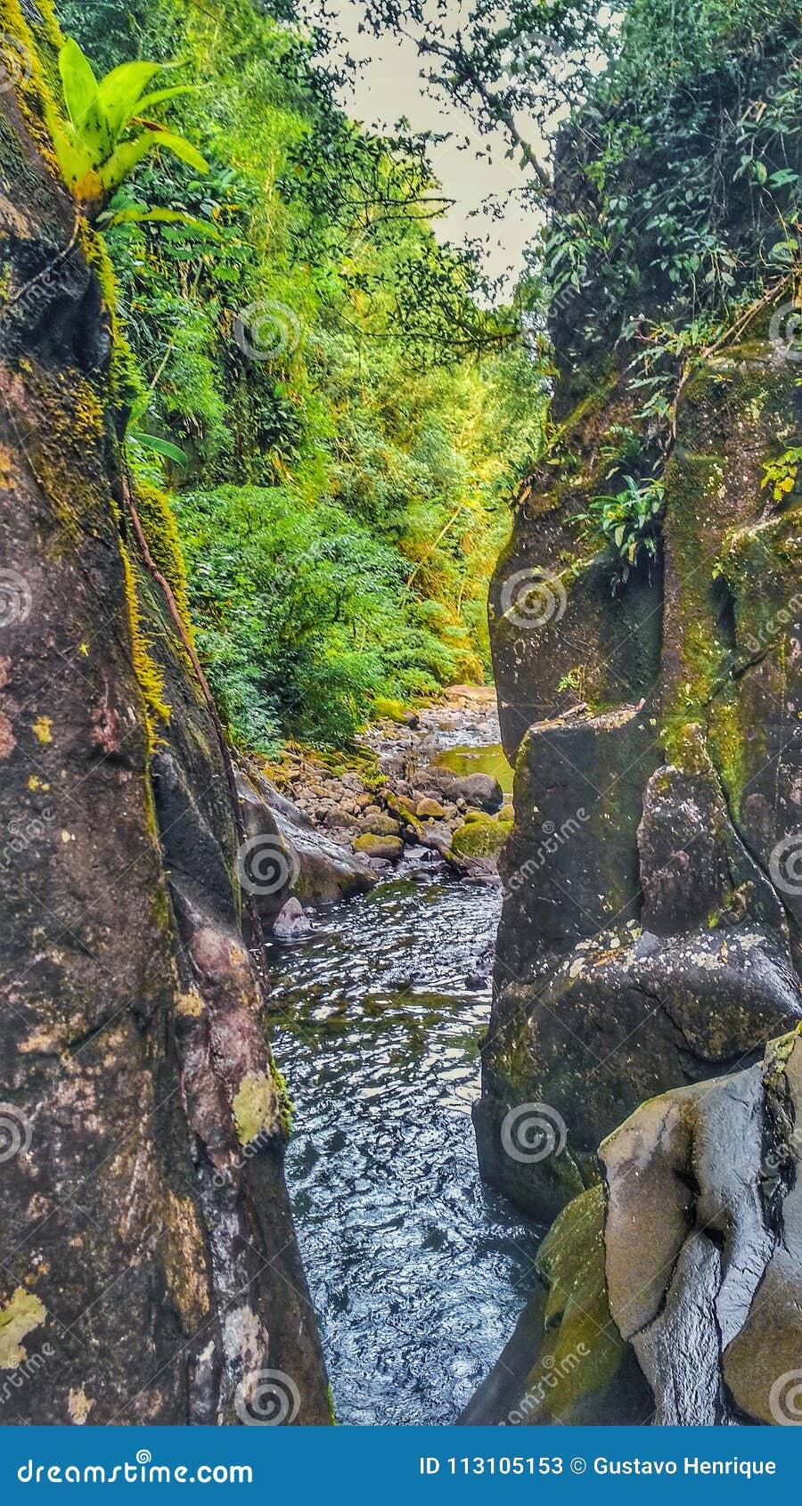 In the rocks stock image. Image of nature, rocks, trip - 113105153