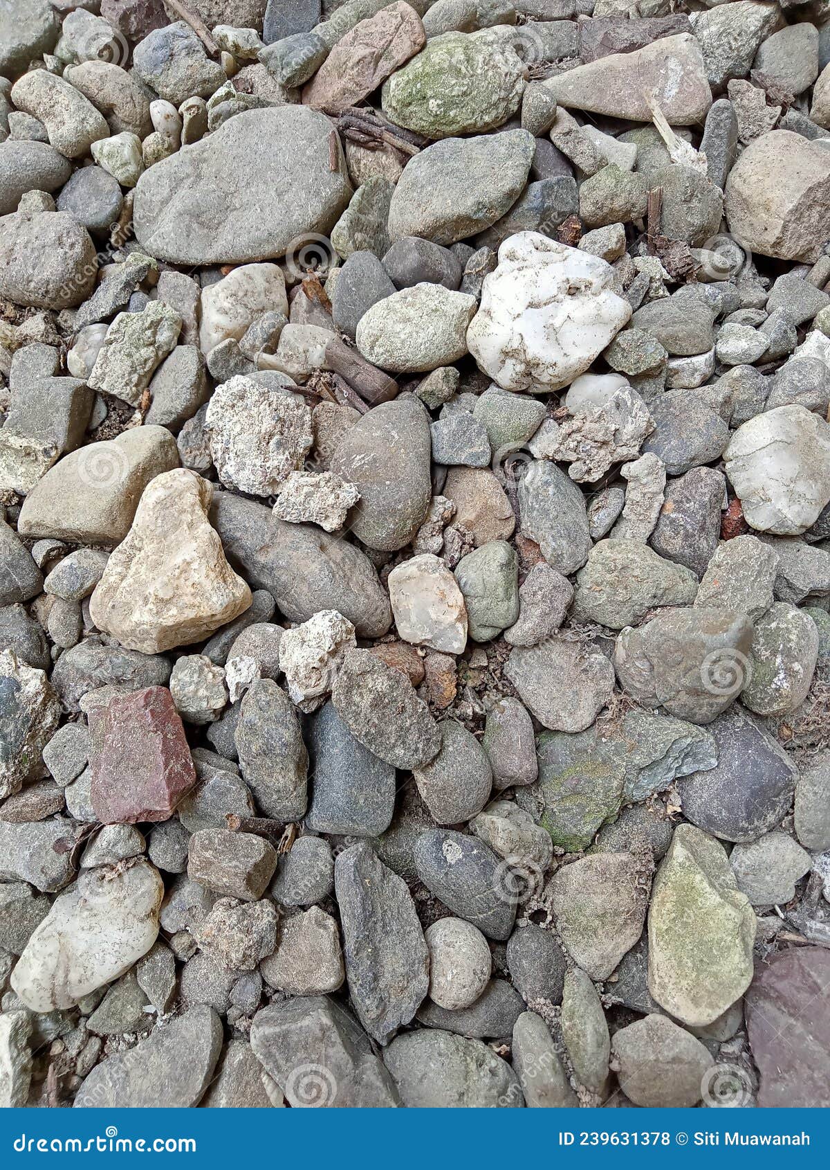 Rocks of Different Shapes,sizes,and Colors Stock Photo - Image of rocks ...
