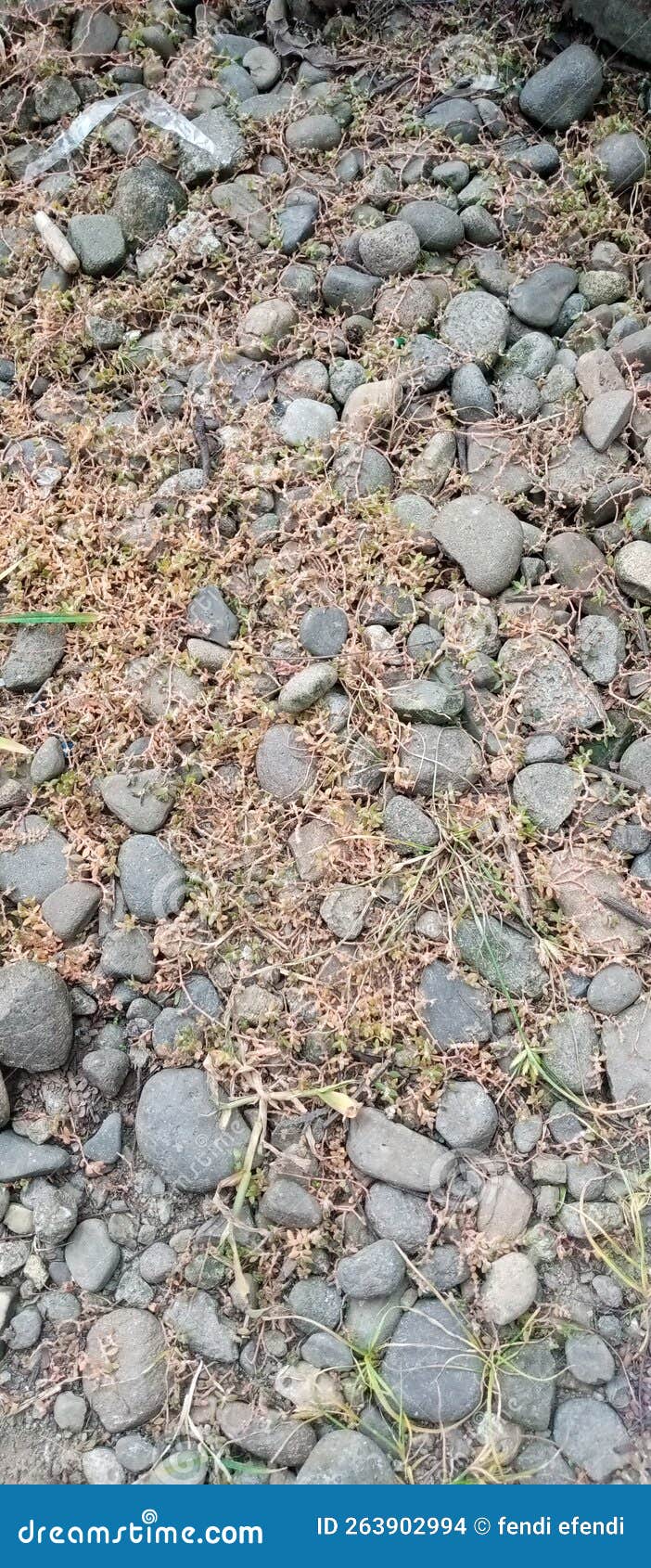 Rocks and Dry Grass Around the House Stock Photo - Image of rocks ...