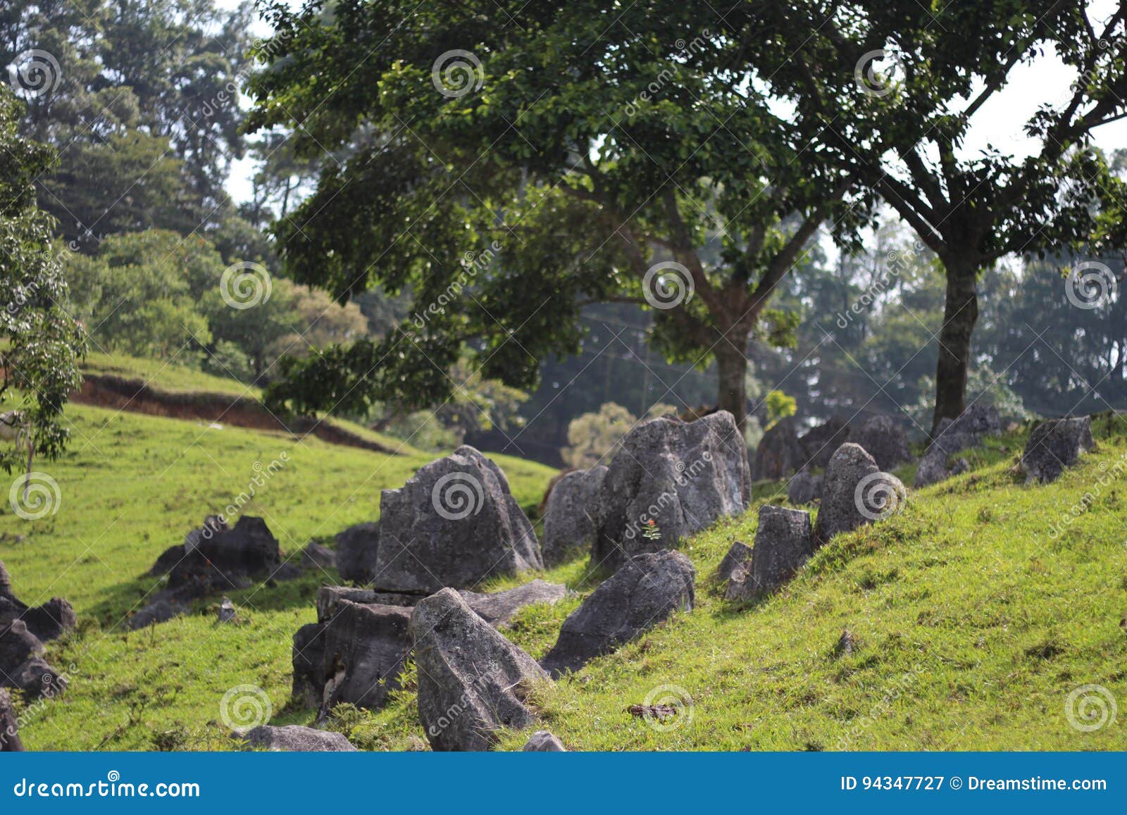 Rocks With Embedded Fossils Royalty-Free Stock Photography ...
