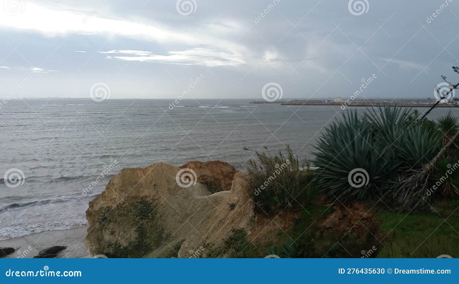 Rocks and Fauna Overlooking Sea and Surf Stock Photo - Image of ...