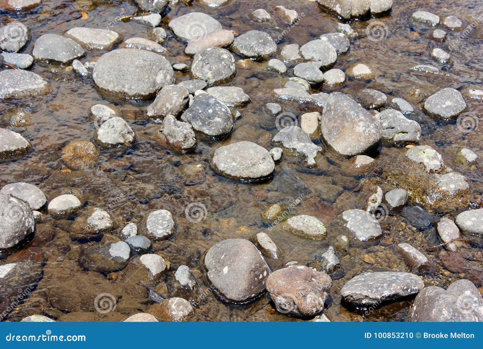 Rocks in a river bed stock photo. Image of pattern, river - 100853210