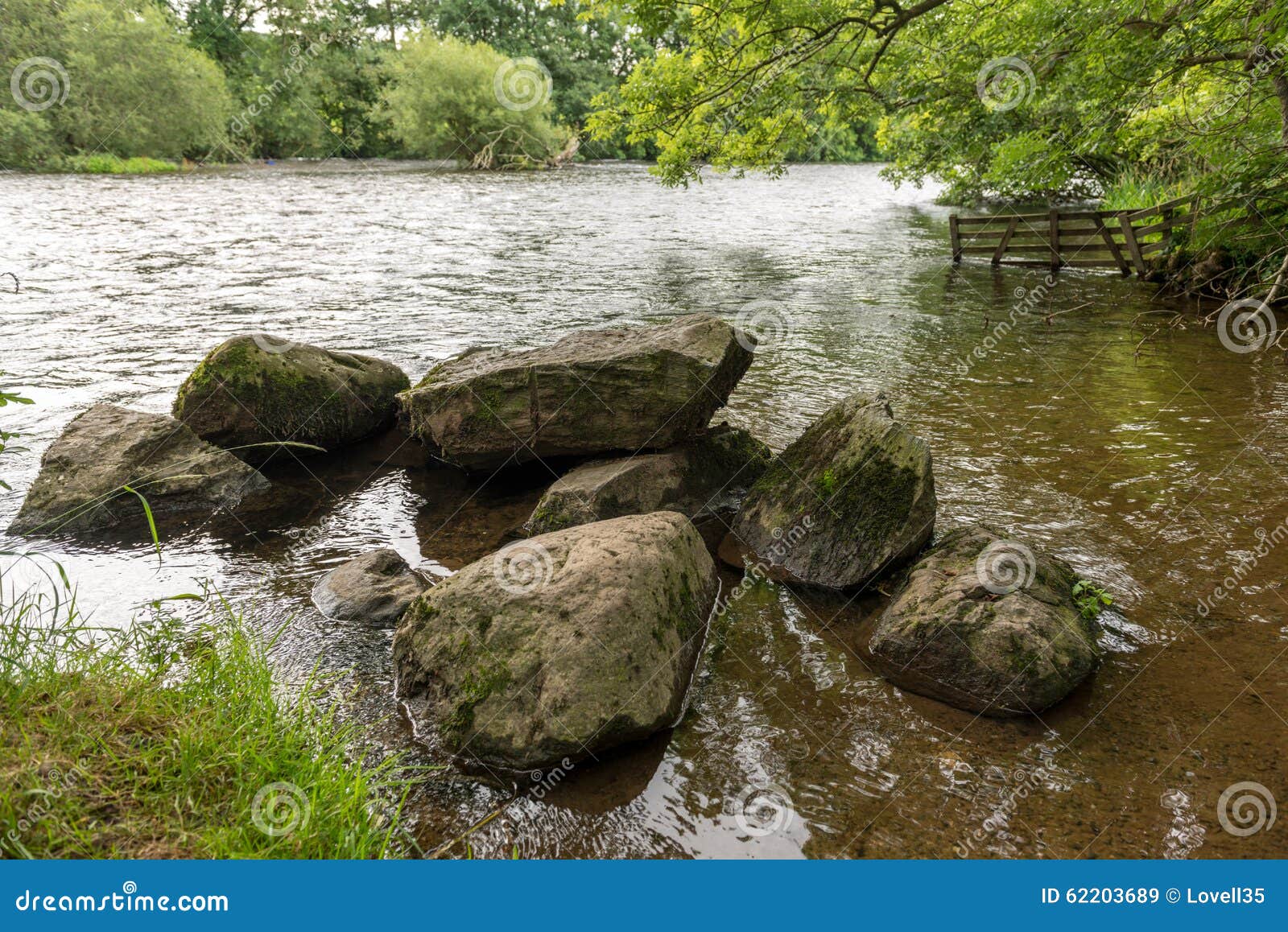 Rocks in flowing river stock image. Image of stones, rain - 62203689