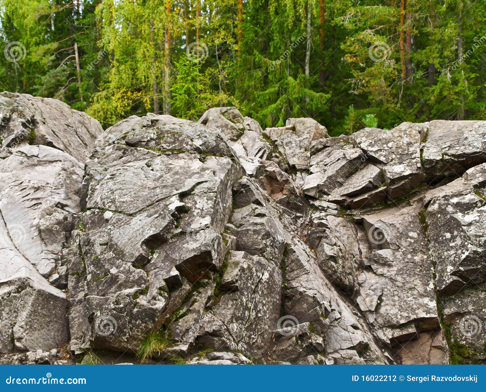 Rocks in the forest stock photo. Image of rocks, quarrying - 16022212