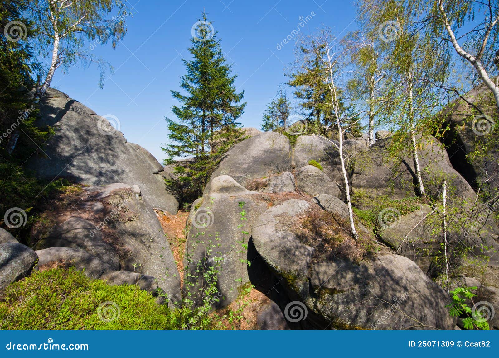Rocks in the forest stock image. Image of europe, outdoor - 25071309