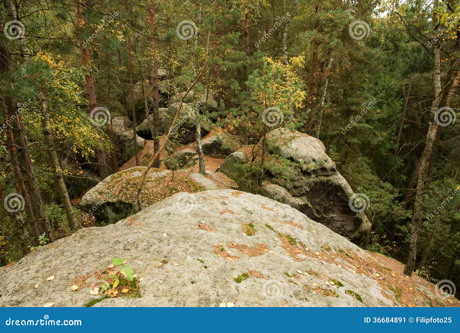 Rocks stock image. Image of timber, beautiful, sunlight - 36684891