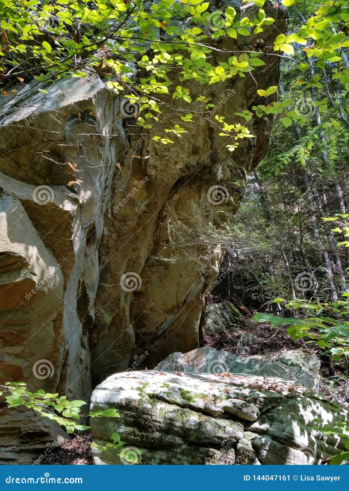 Rocks in forest stock image. Image of park, forest, rocks - 144047161