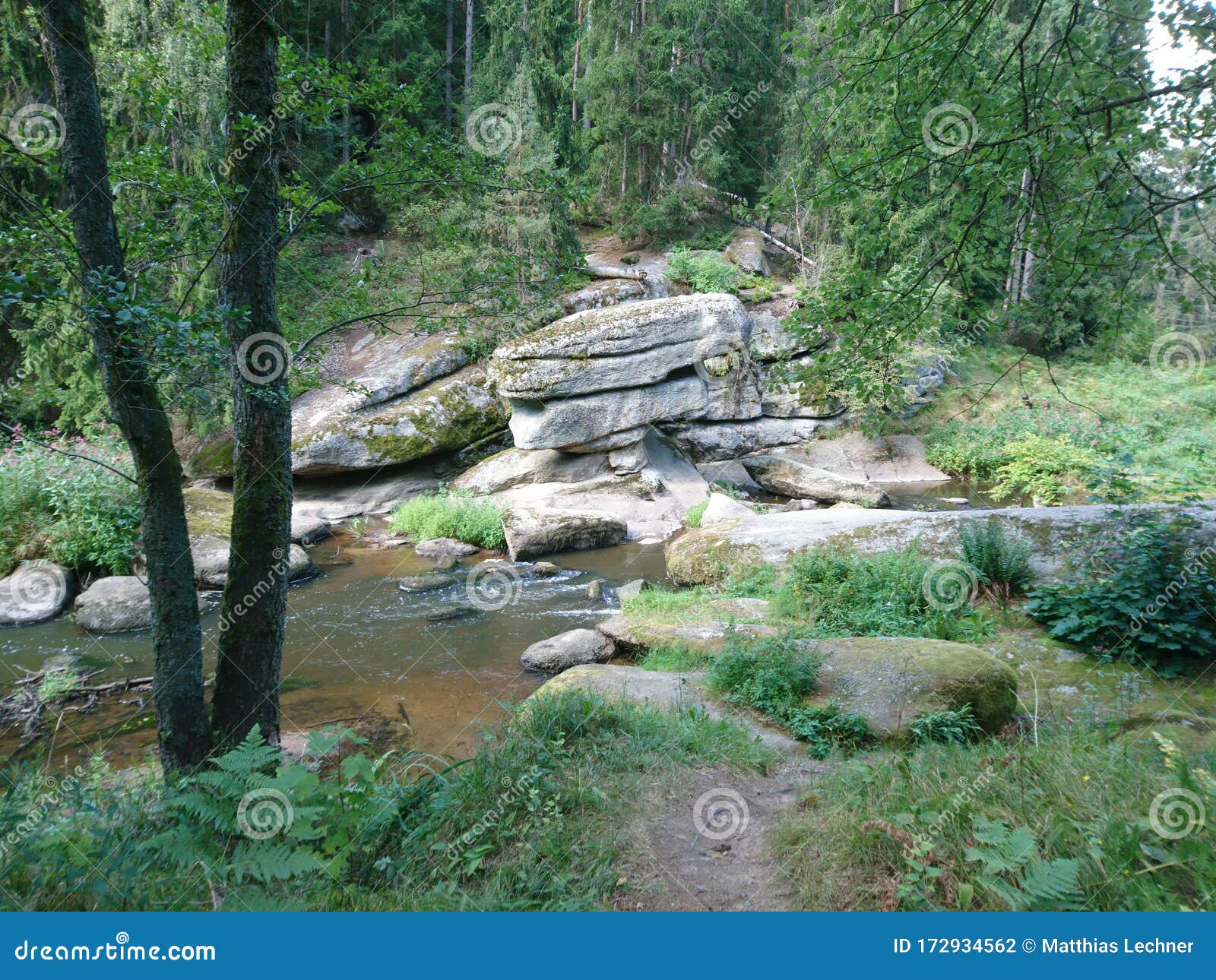 Rocks in forest river stock photo. Image of natural - 172934562