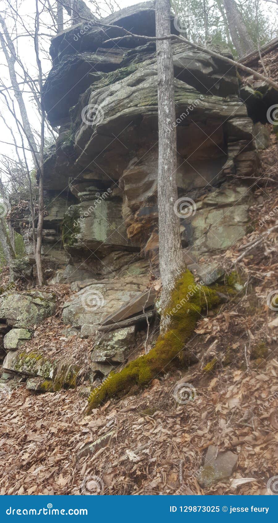 Rocks stock image. Image of rocks, trees, forest, rock - 129873025
