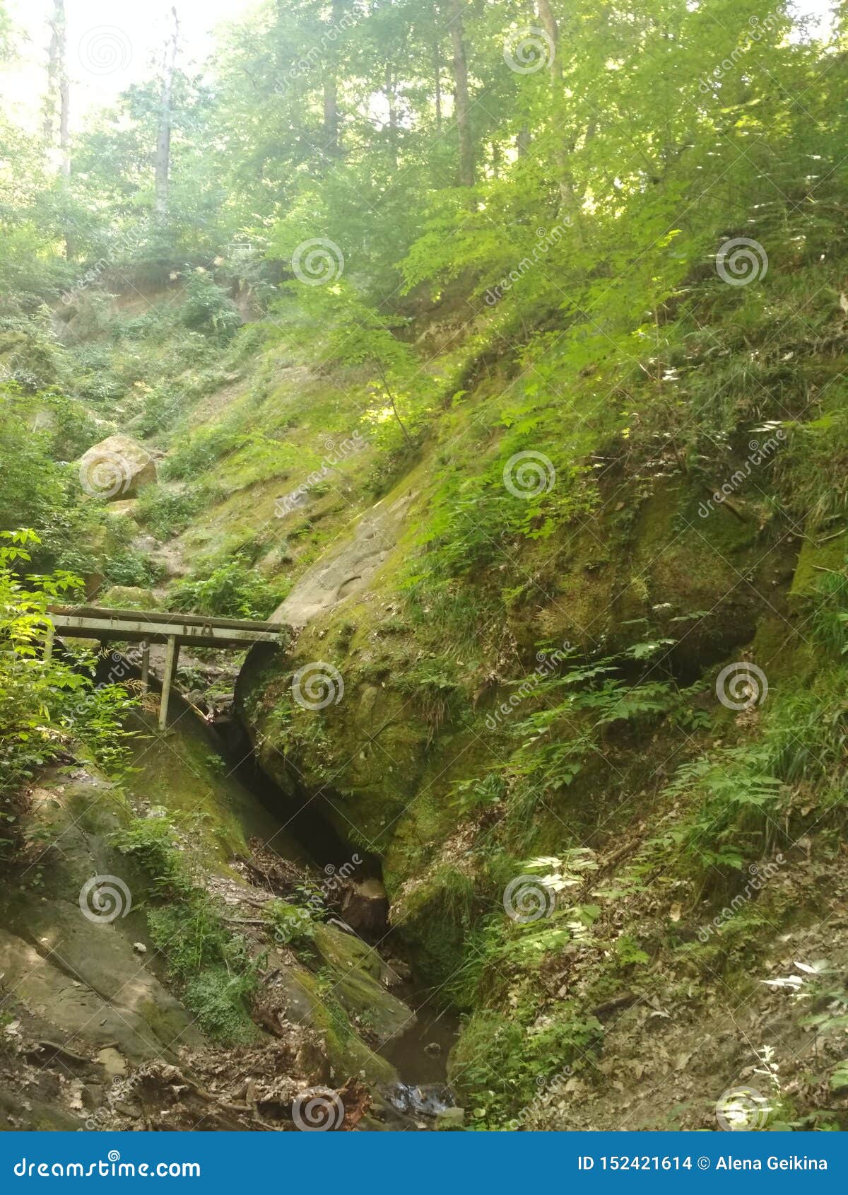 Rocks in the forest stock photo. Image of high, summer - 152421614