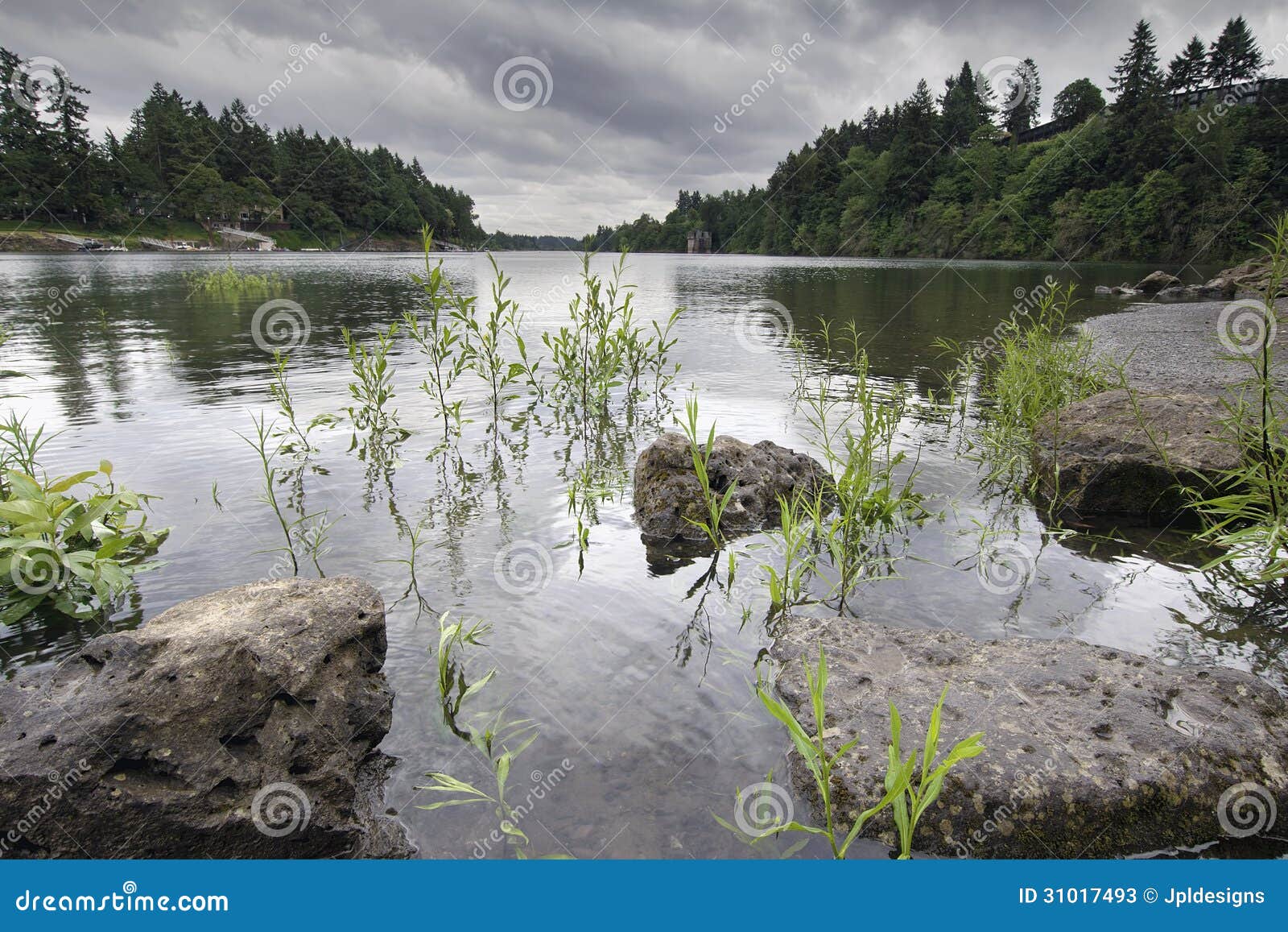 Rocks Formation at Willamette River Stock Image - Image of nature ...