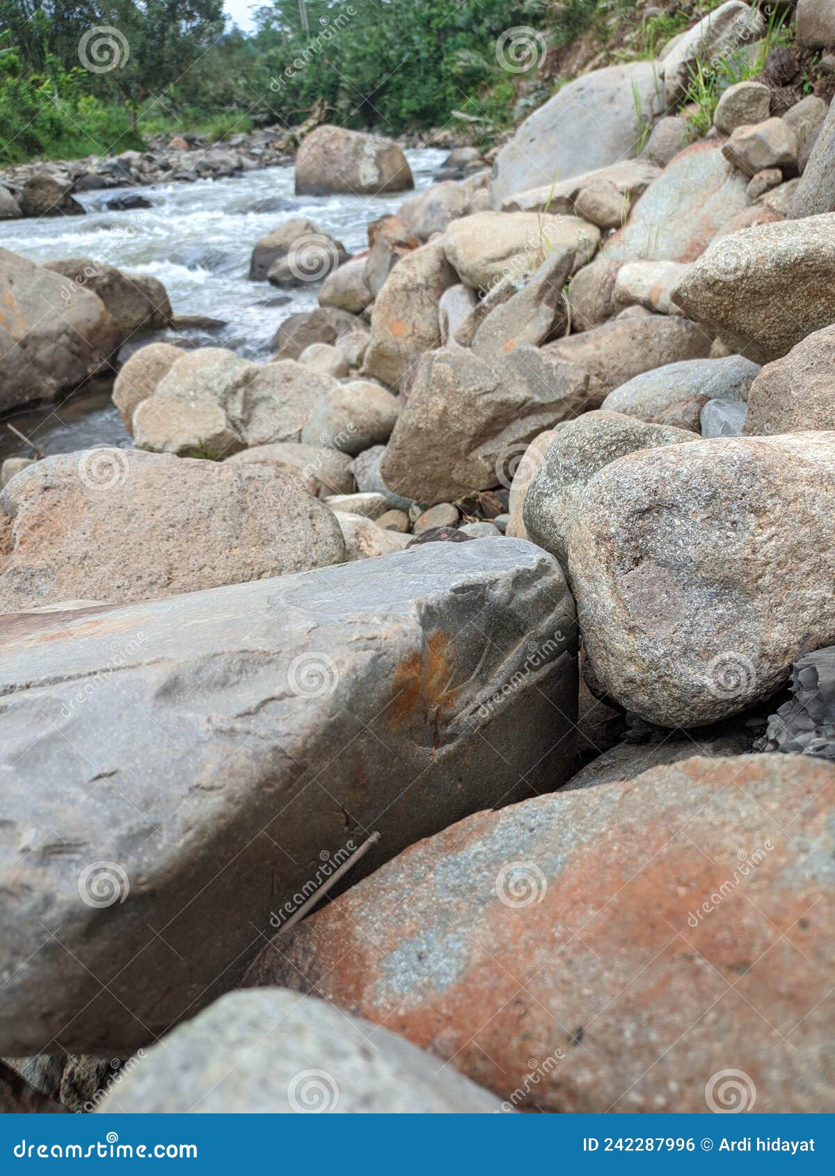 Rocks Formed by the Flow of Rivers Stock Photo - Image of wood, rocks ...