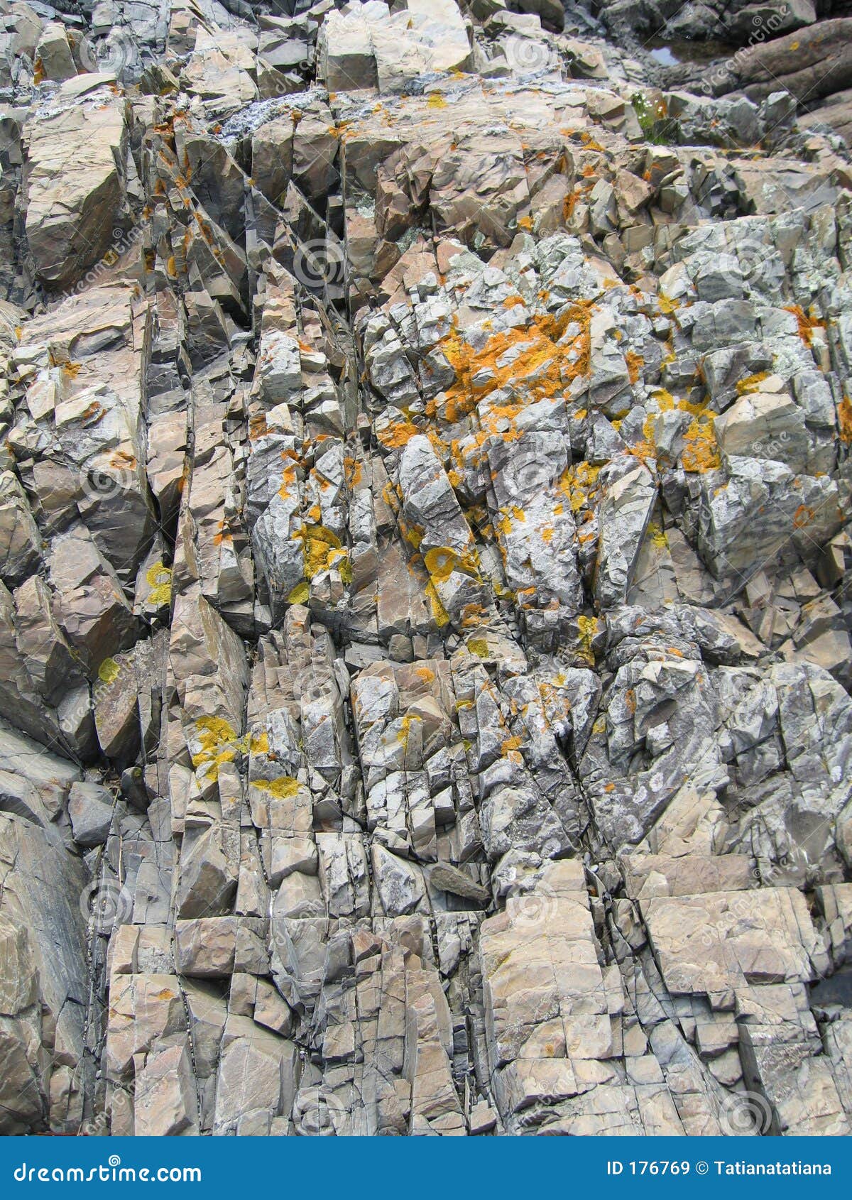 Rocks with Fungus stock image. Image of maine, danger, rocks - 176769