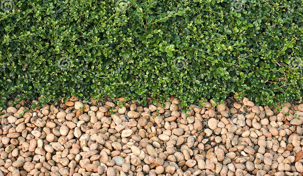 Rocks and grass. stock image. Image of ground, nature - 23832589