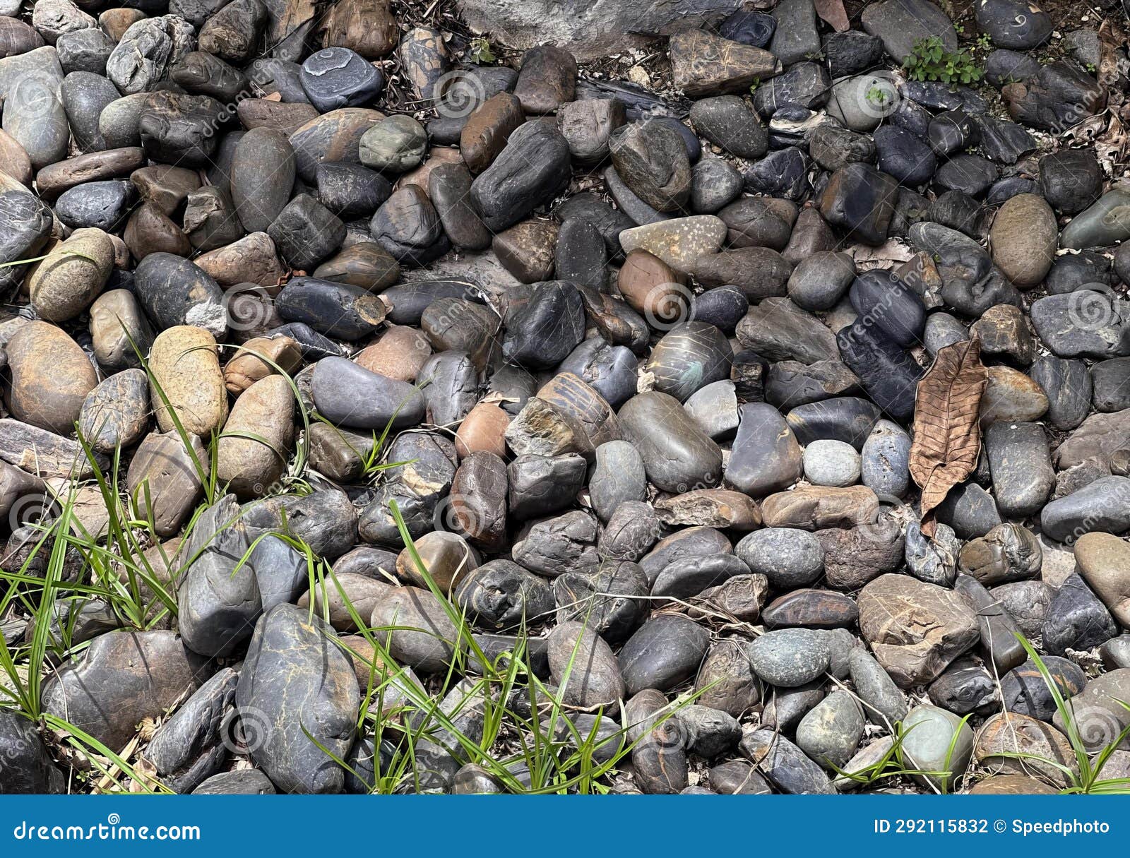 Rocks and Grass in the River Bed Stock Photo - Image of lake, gravel ...