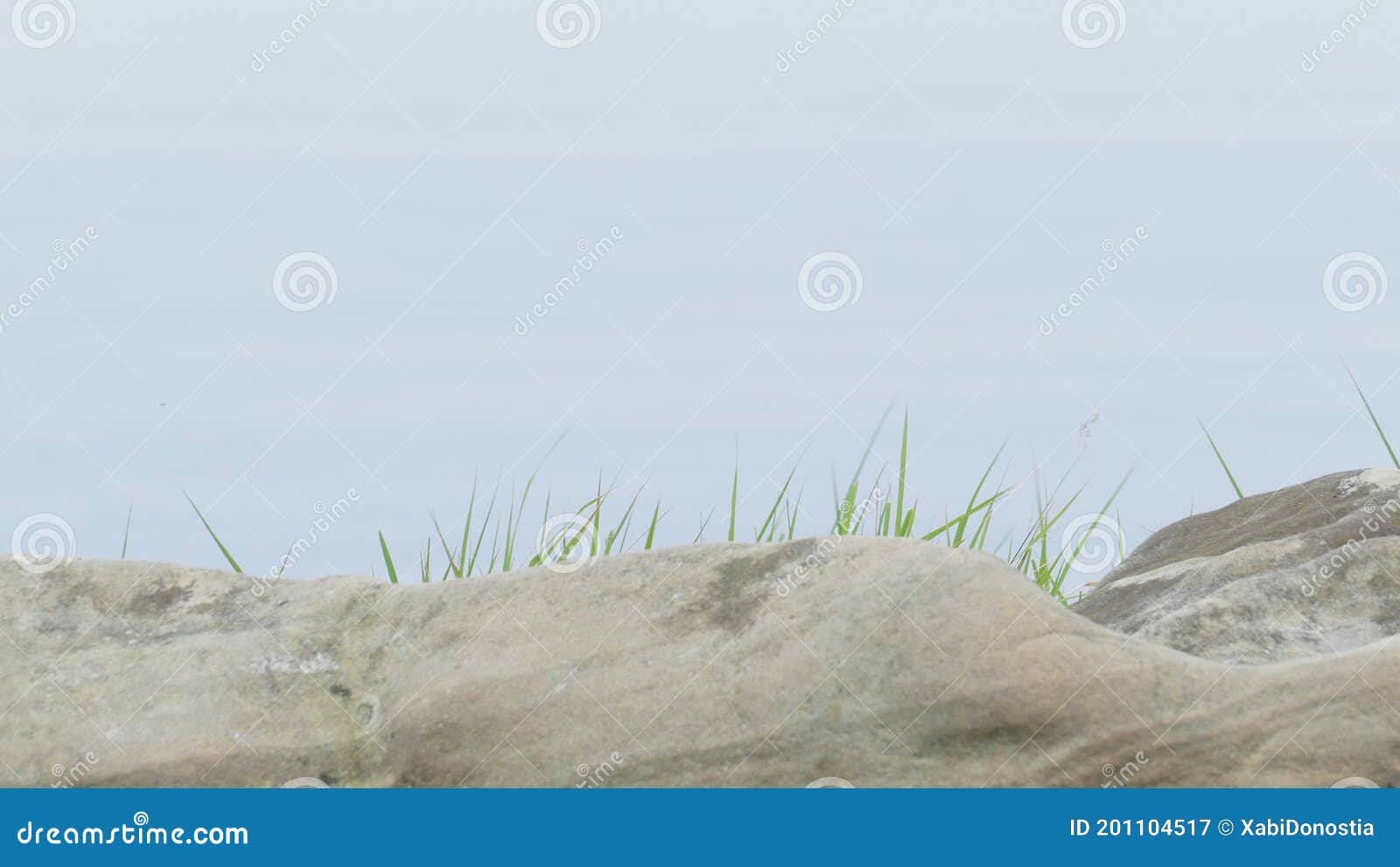 Rocks with green plants stock image. Image of beauty - 201104517