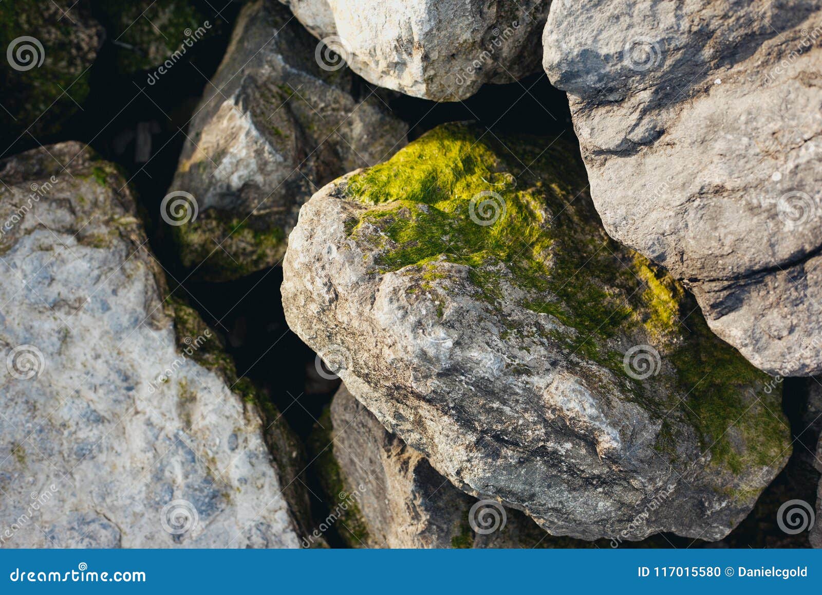 Rocks with Green Stuff Growing on it Stock Photo - Image of boulder ...
