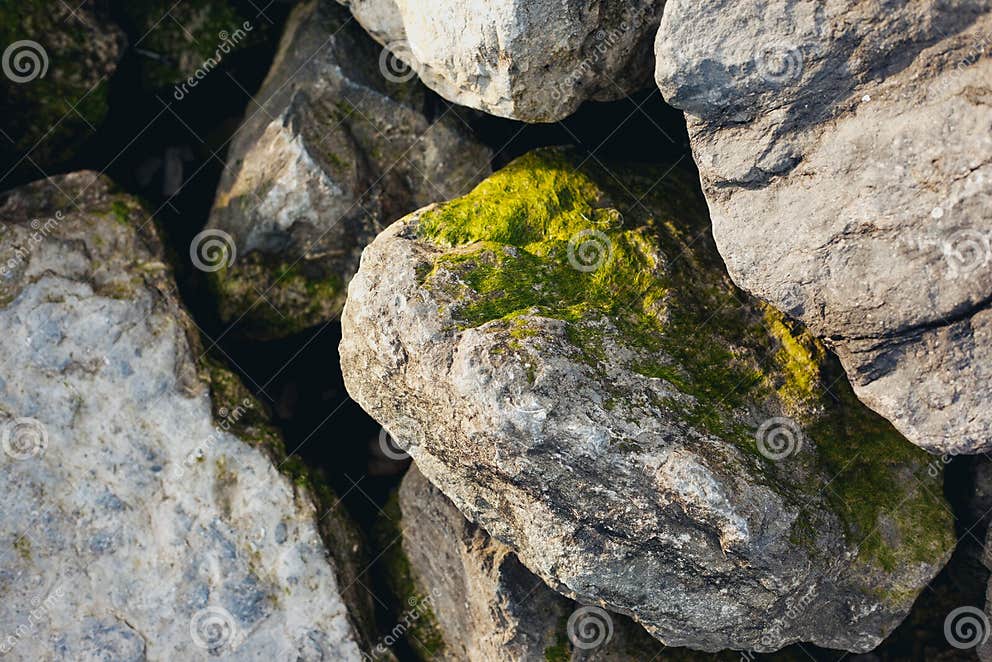 Rocks with Green Stuff Growing on it Stock Photo - Image of boulder ...