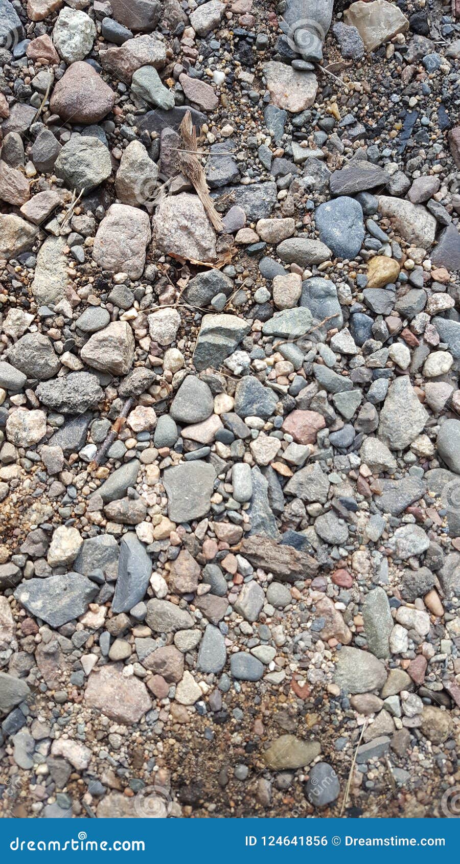 Rocks stock photo. Image of rocks, ground, pretty, outdoors - 124641856