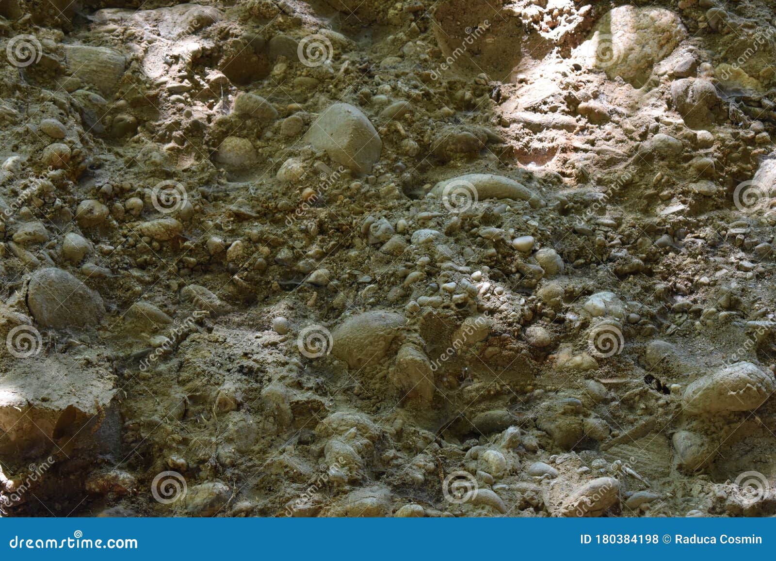 Rocks in the ground stock photo. Image of earth, daylight - 180384198