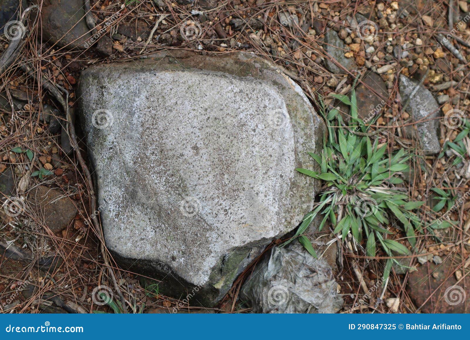 Rocks on the Ground during the Day Editorial Image - Image of headstone ...