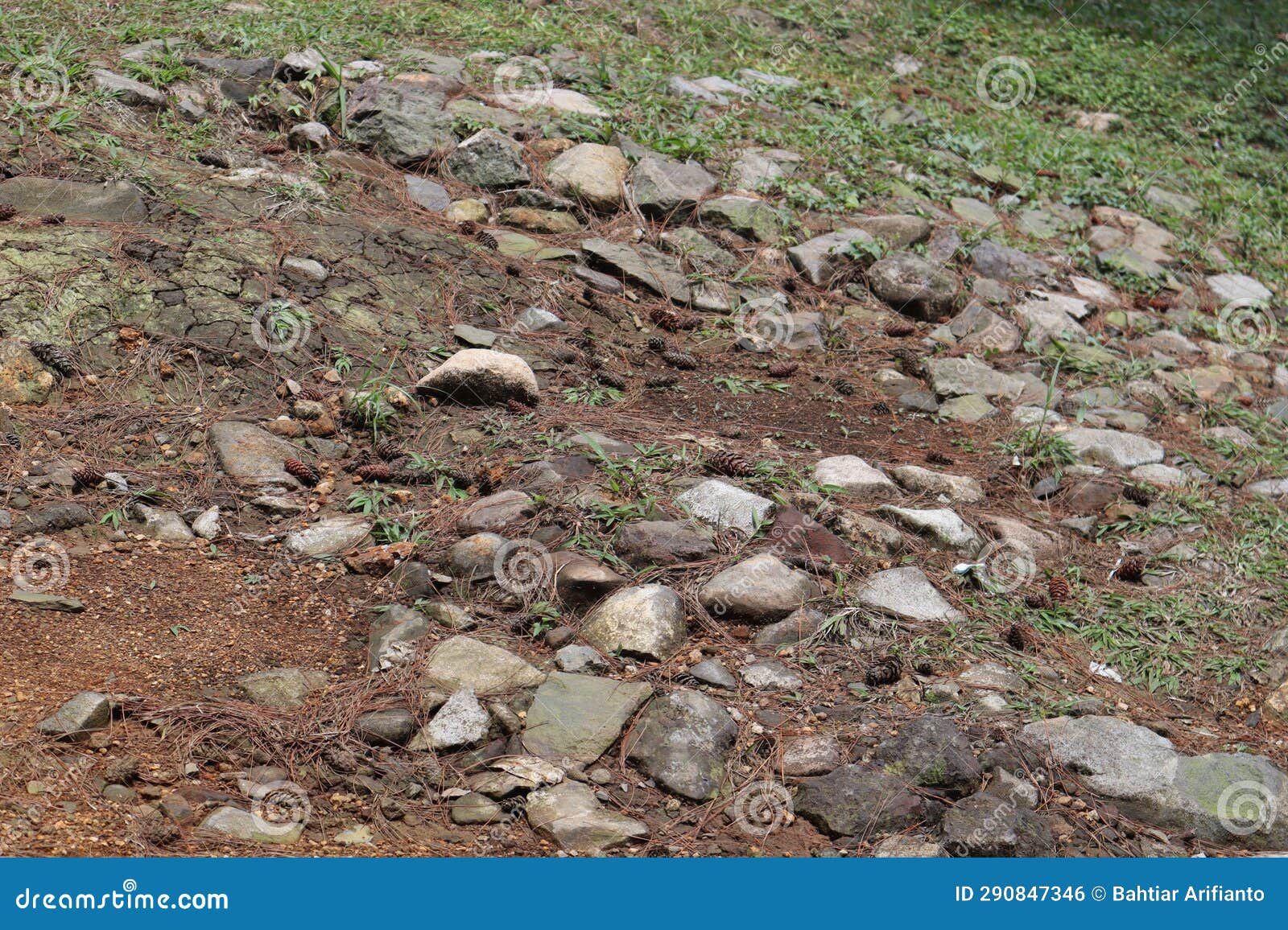 Rocks on the Ground during the Day Editorial Photo - Image of wildlife ...