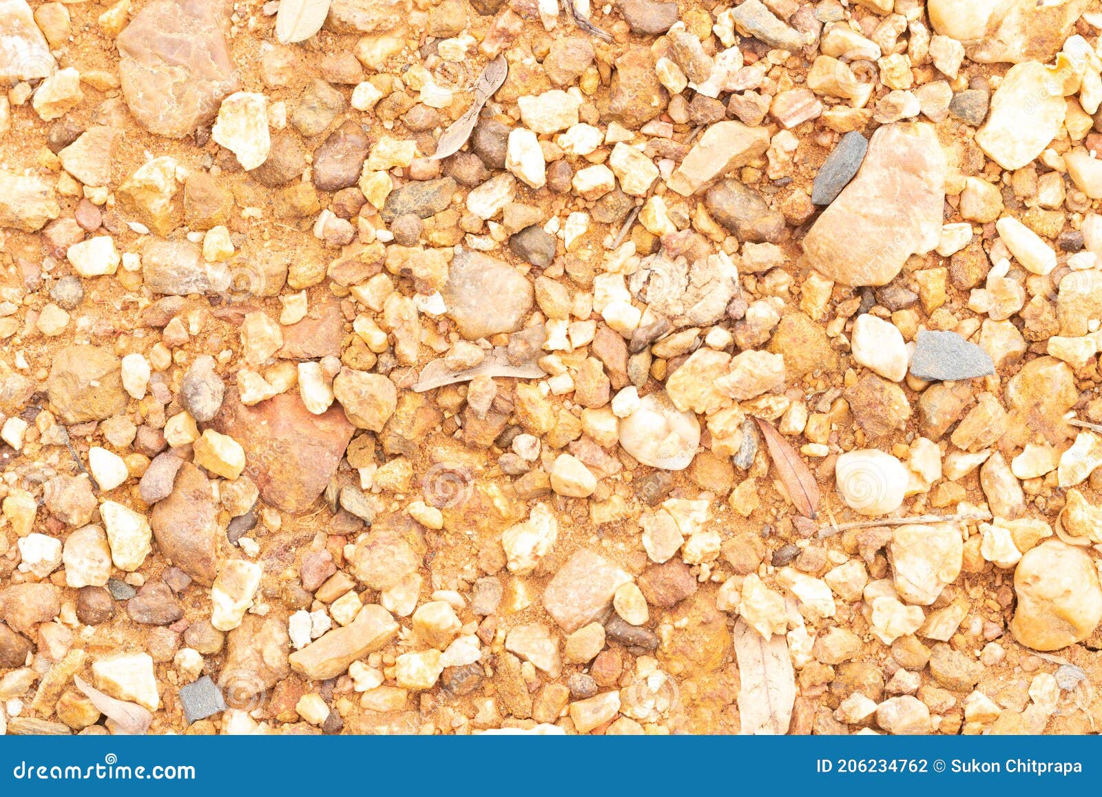 Rocks on the ground stock photo. Image of rocks, background - 206234762