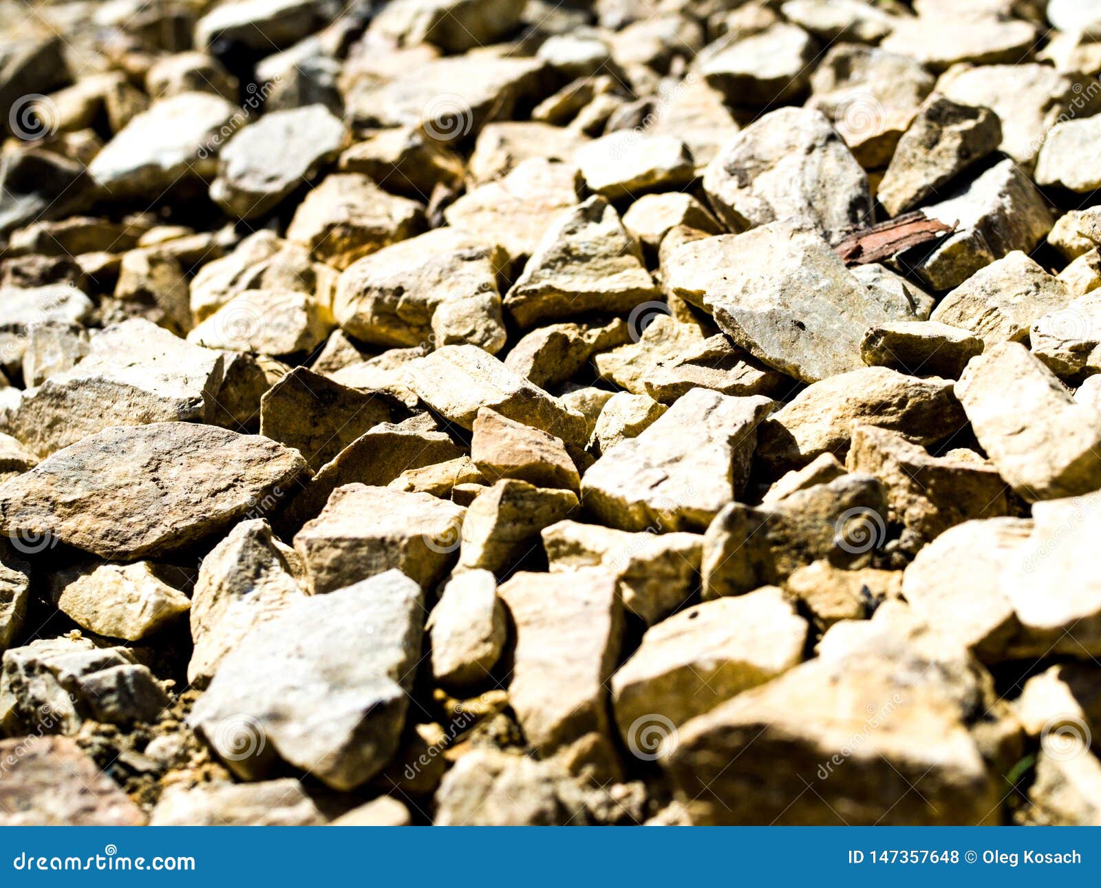 Rocks on the Ground Texture Stock Photo - Image of natural, nature ...