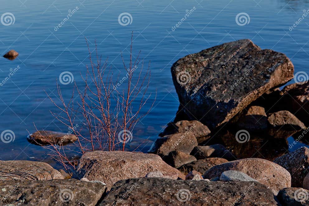 Rocks in harbour stock photo. Image of small, sunny, blue - 52705684