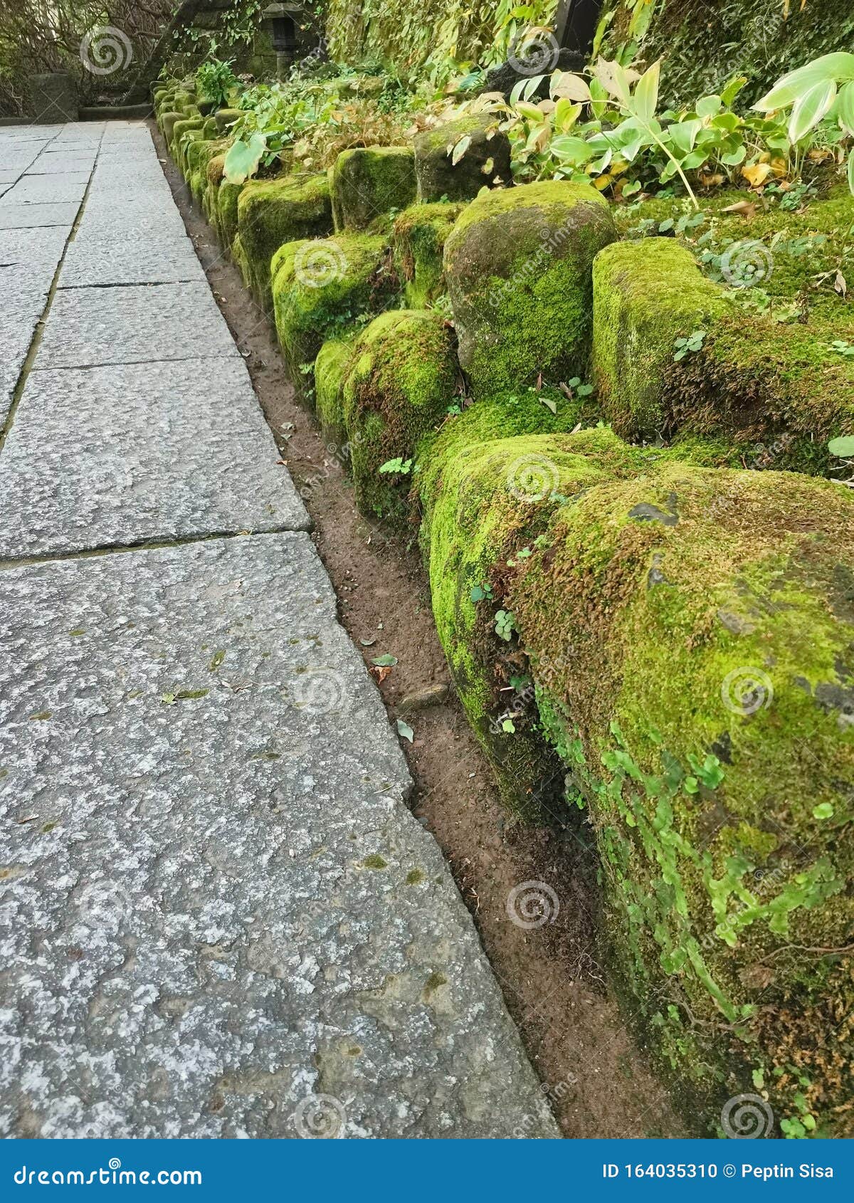 The Rocks Has Moss on the Side of the Walkway. Stock Photo - Image of ...