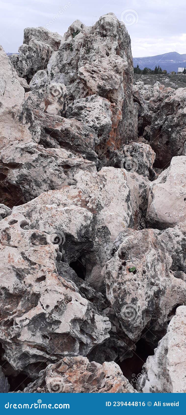 Rocks on a hillside stock photo. Image of bedrock, wadi - 239444816