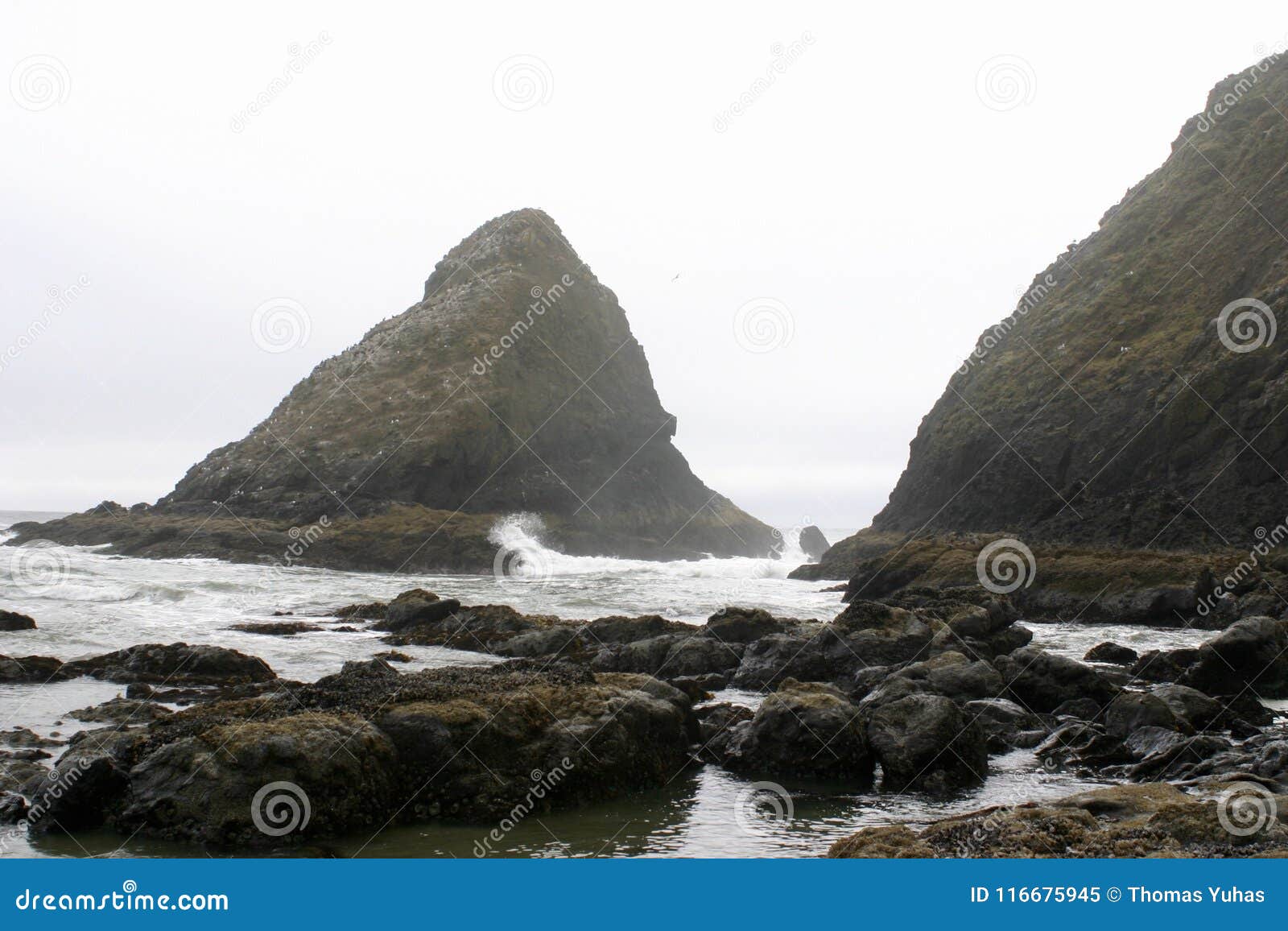 Hobbit Beach - Oregon stock image. Image of rocks, family - 116675945