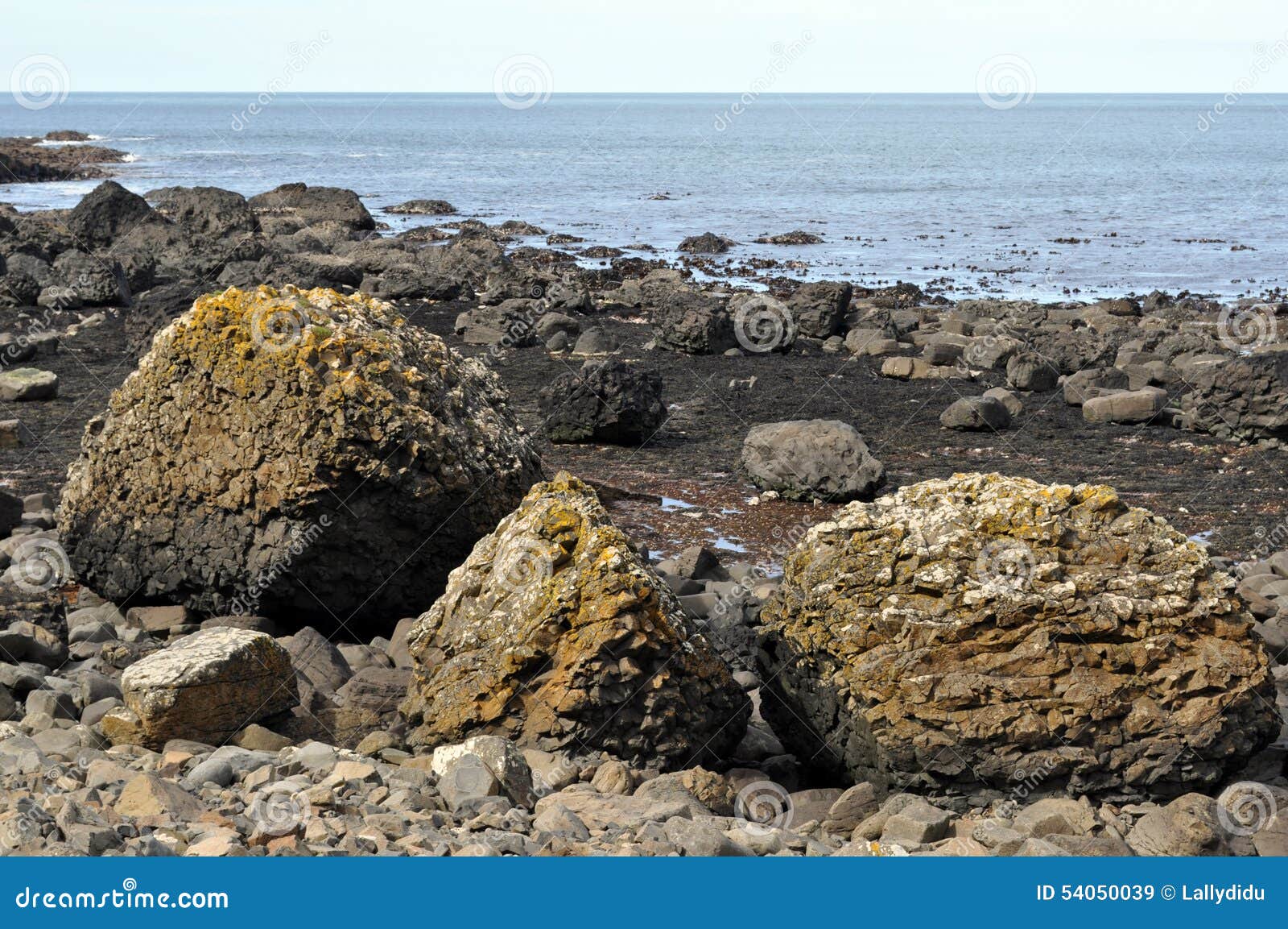 Rocks ireland stock image. Image of flower, drawn, antique - 54050039