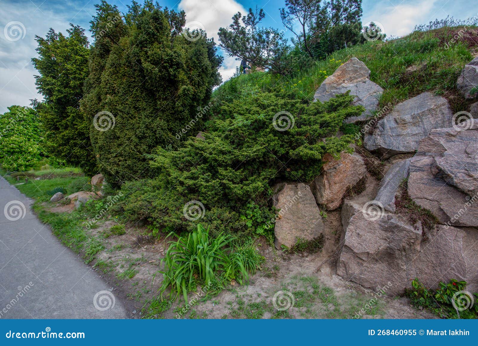 Rocks and Junipers Trees in Botanical Park of Grivko Stock Image ...