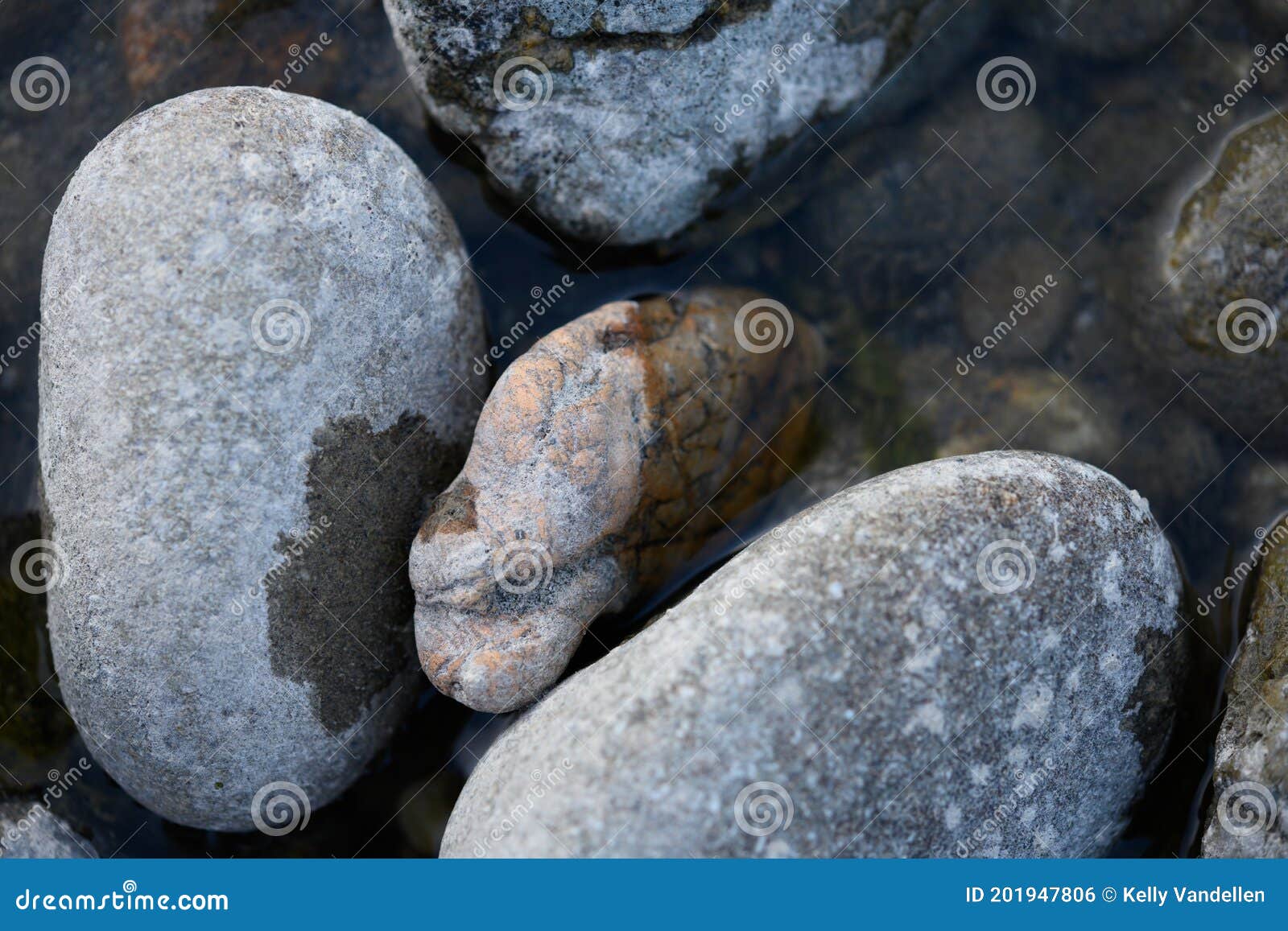 Rocks Just Above Water stock photo. Image of mountains - 201947806