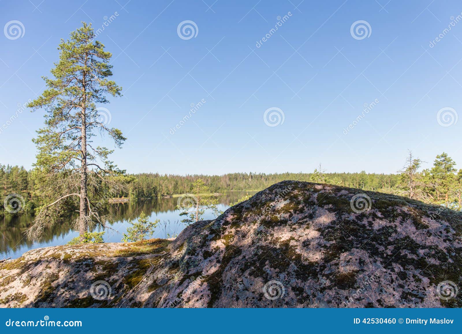 Rocks by the lake stock photo. Image of season, forest - 42530460